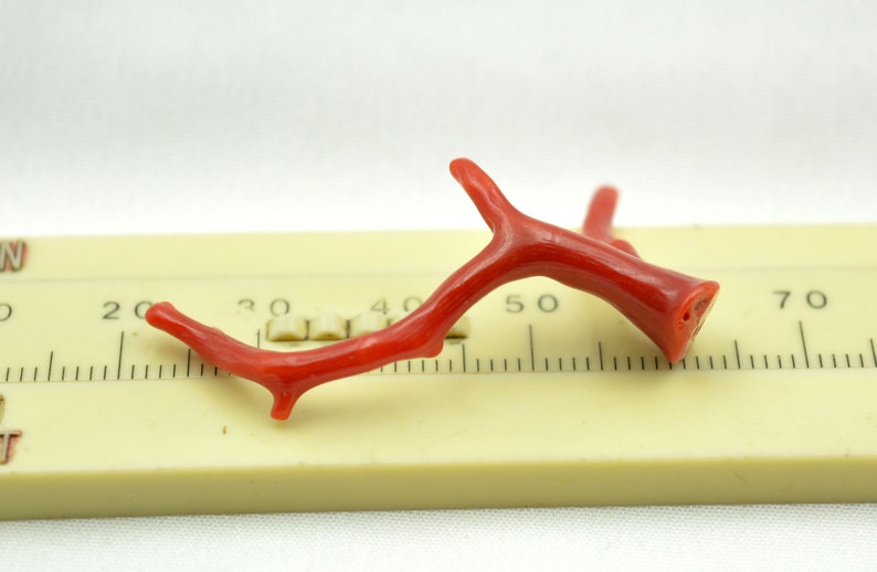 Red Coral Gemstone, Raw Italian Coral Stick, Natural Italian Coral ...