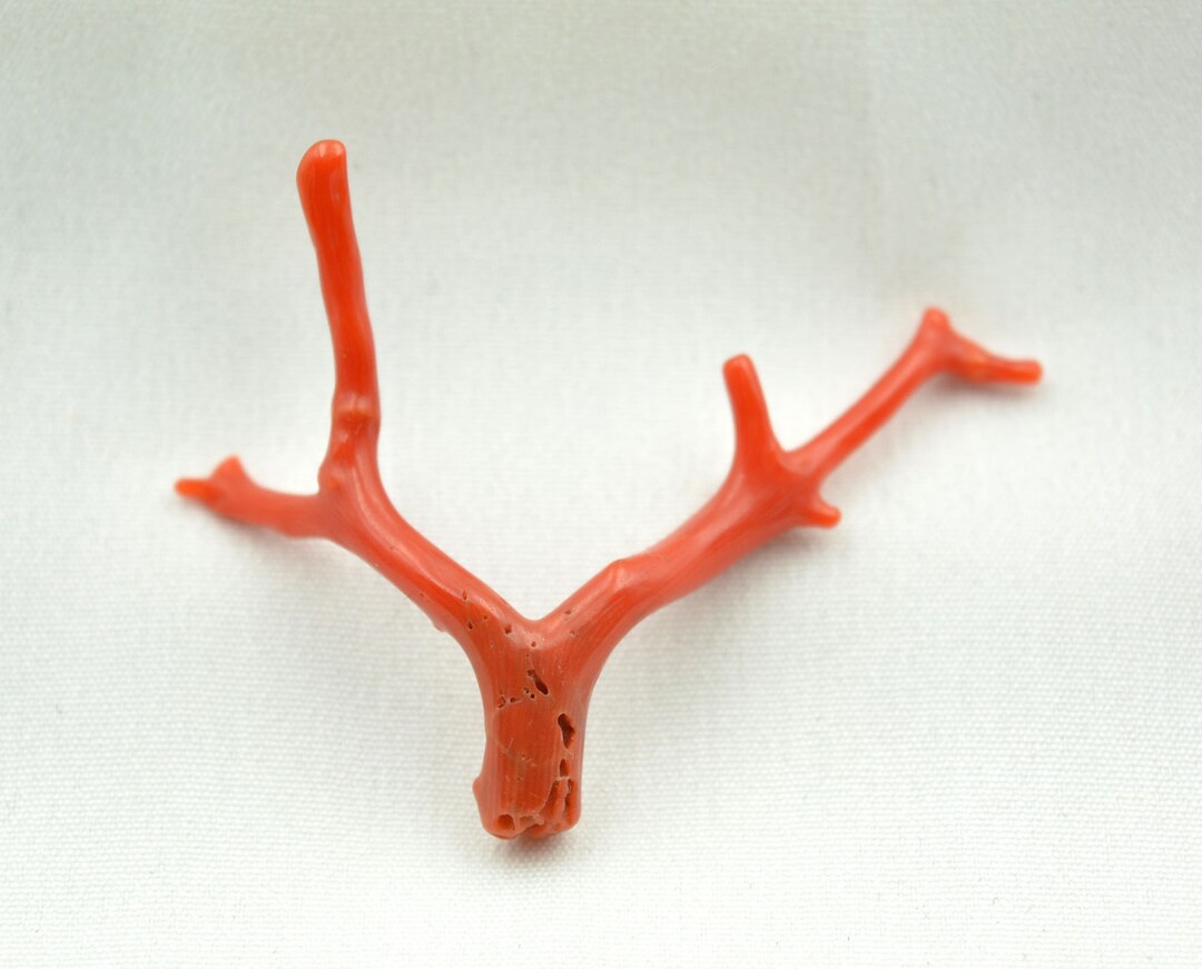 Natural Italian Coral Raw Stick, Rough Italian Coral Stick, Red Coral ...