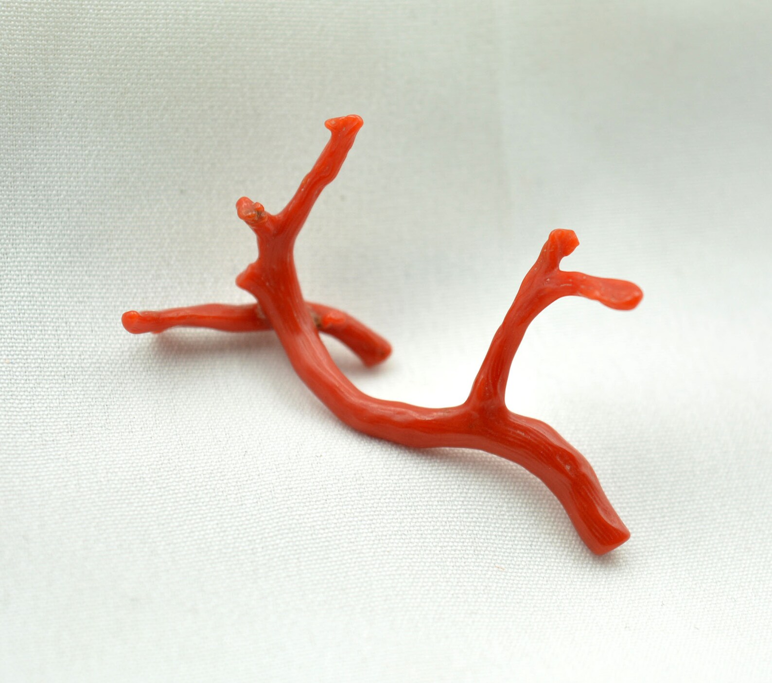 Red Coral Gemstone, Raw Italian Coral Stick, Natural Italian Coral ...