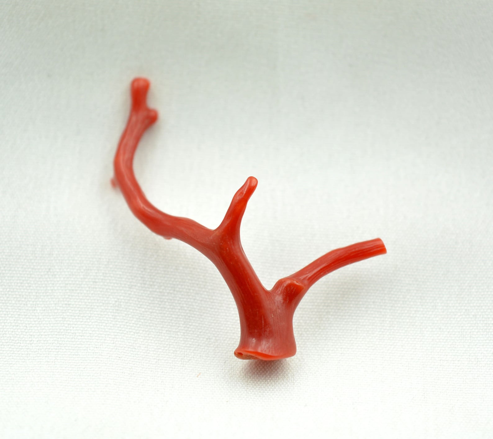 Red Coral Gemstone, Raw Italian Coral Stick, Natural Italian Coral ...