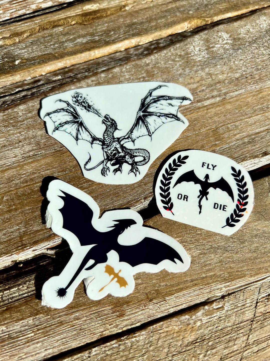 Fourth Wing Inspired Stickers. Set of 3 - Etsy