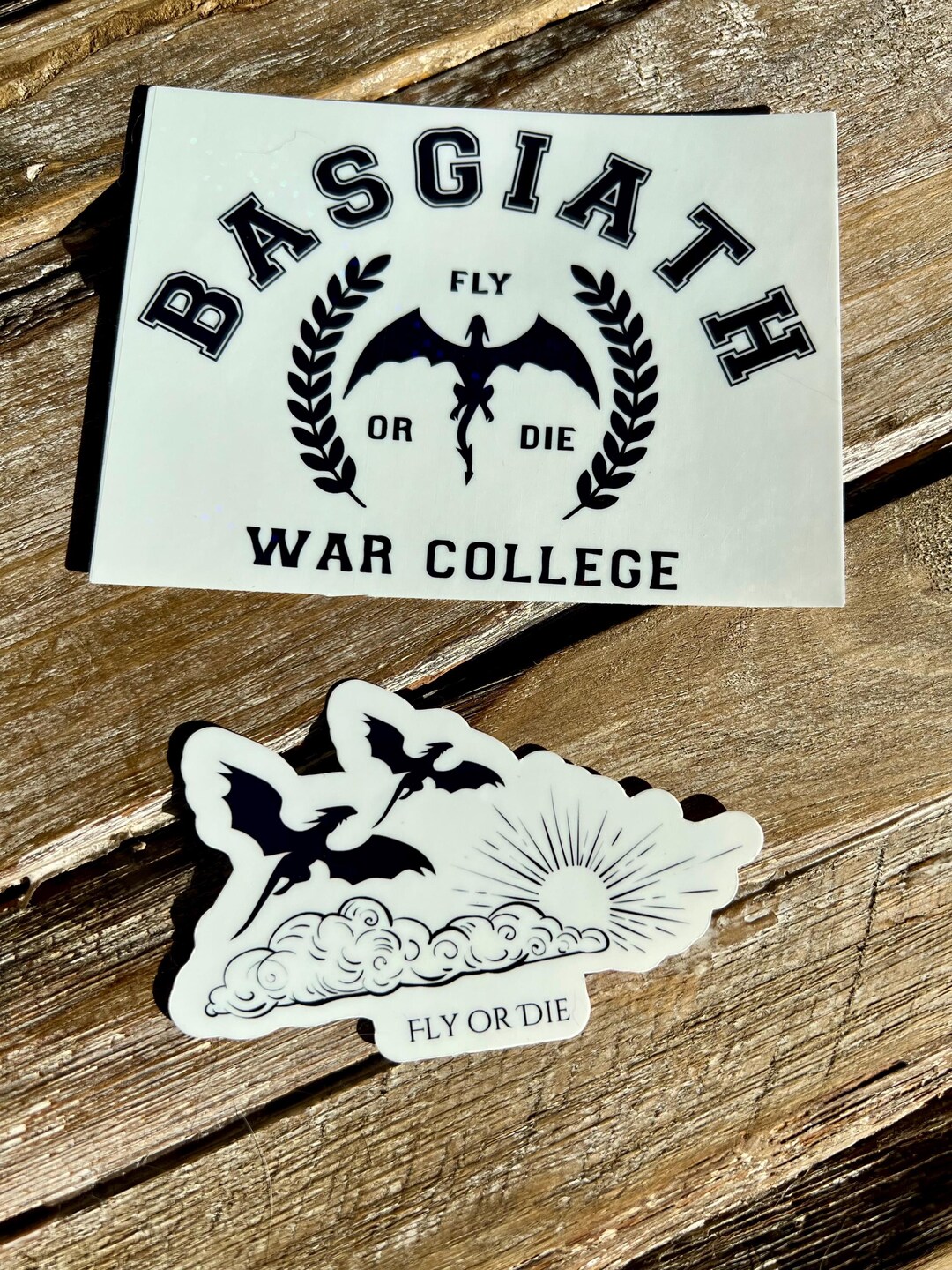 Fourth Wing Inspired Stickers. Set of 2 - Etsy