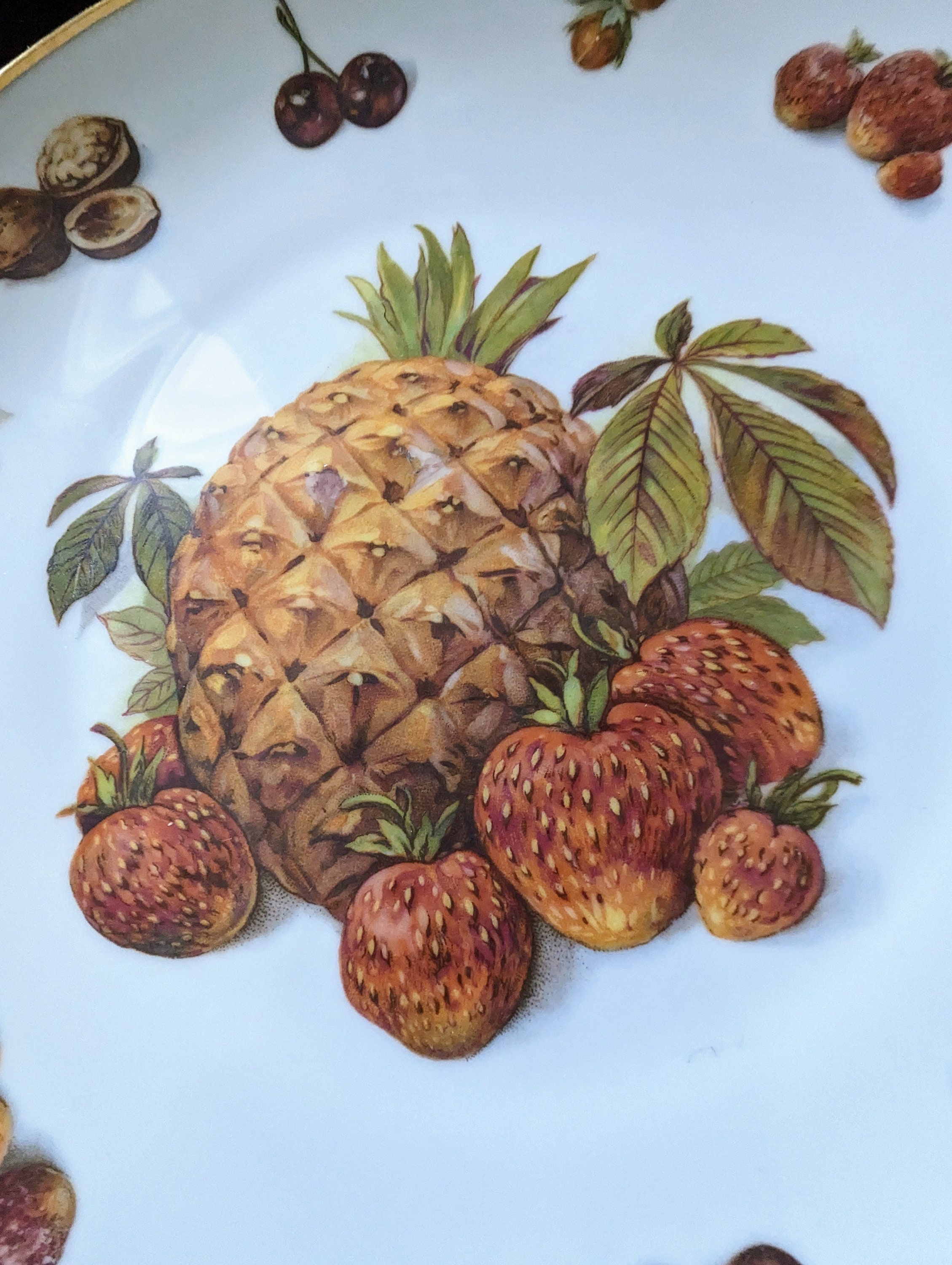 Pair of Vintage H.M.S. Royal Hanover Decorative Plates, Debra Pattern ...