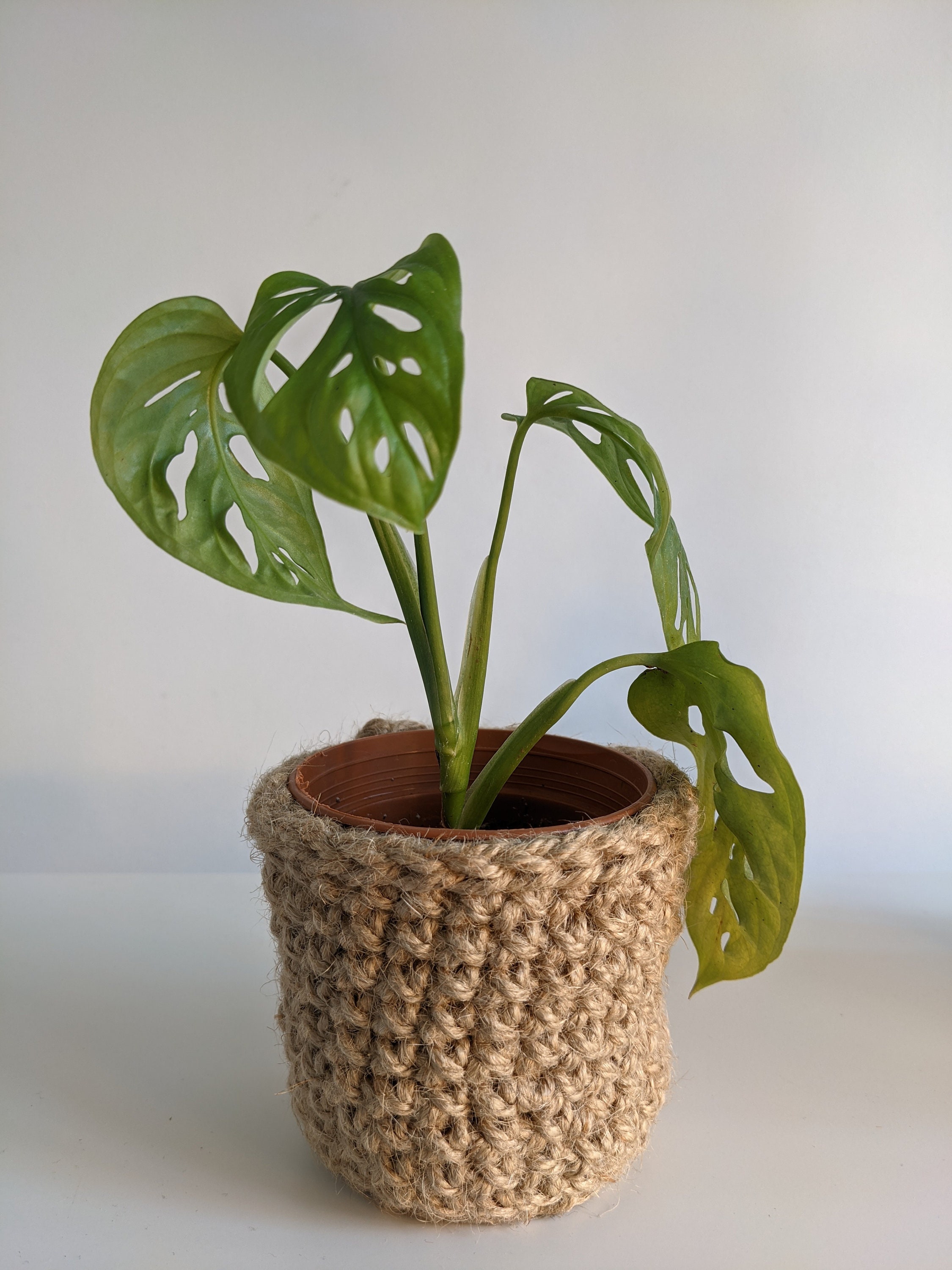 Pequeña maceta de yute - Etsy España