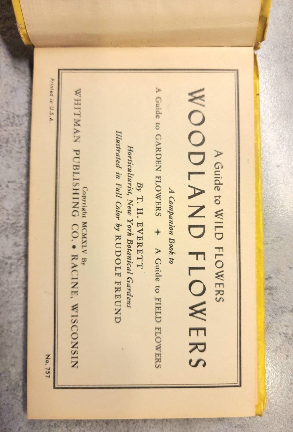 Woodland Flowers Small Identification Guide by Whitman - Etsy
