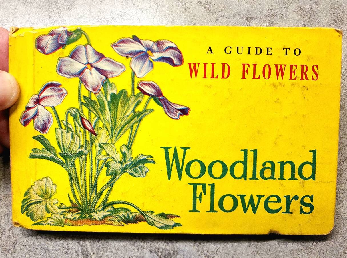 Woodland Flowers Small Identification Guide by Whitman - Etsy