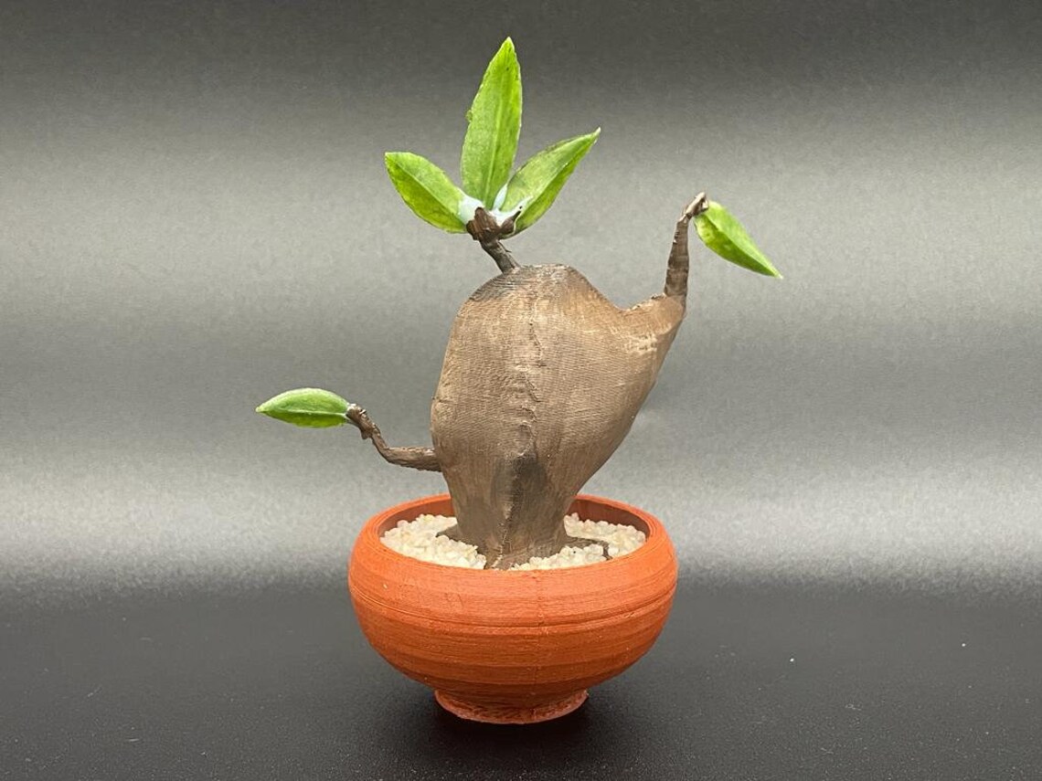 Deku Butler's Son 3D Print - Etsy