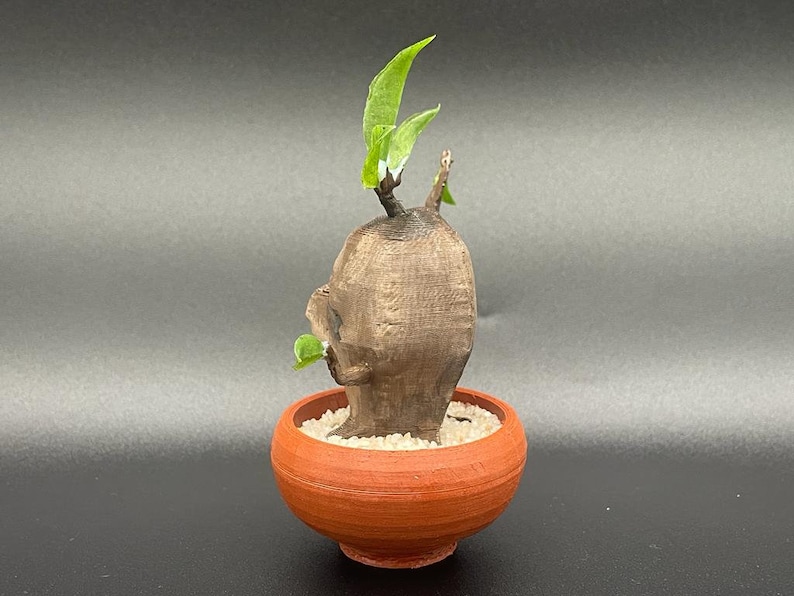 Deku Butler's Son 3D Print - Etsy