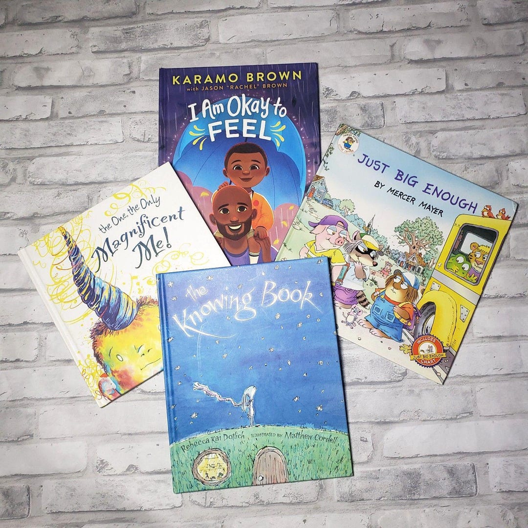 4 Social Emotional Development Learning Fiction Story Books Ages 4 and ...