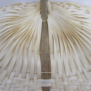 Hand Fans for Beach Wedding // Tropical Hand Fan Favors - Great for ...