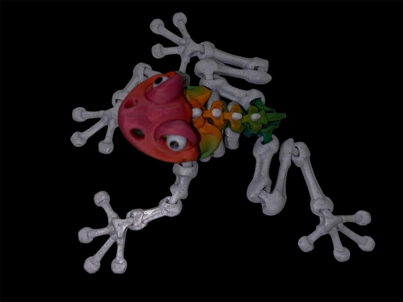 Articulated Skeleton Frog Figurine Great Gift Decor for Home Desk Buddy ...
