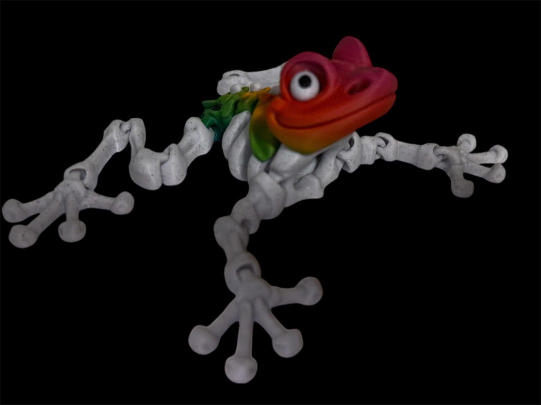 Articulated Skeleton Frog Figurine Great Gift Decor for Home Desk Buddy ...