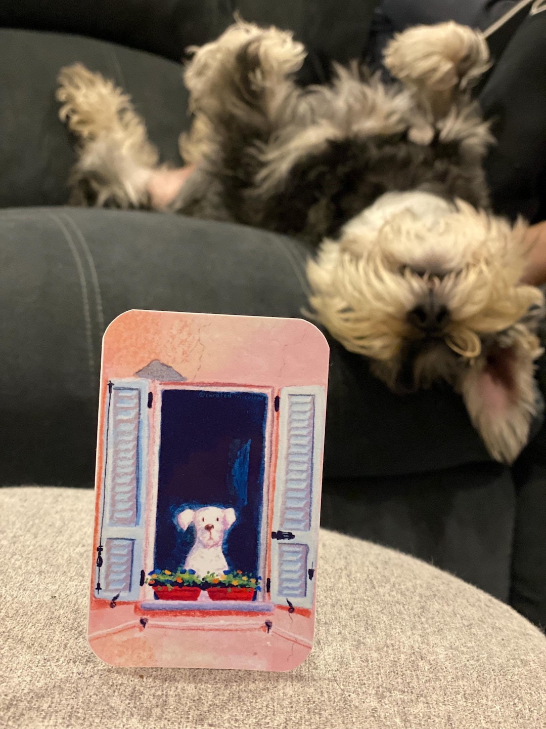 Puppy in the Window Vinyl Die-cut Sticker, Adorably Cute Sticker, Puppy ...