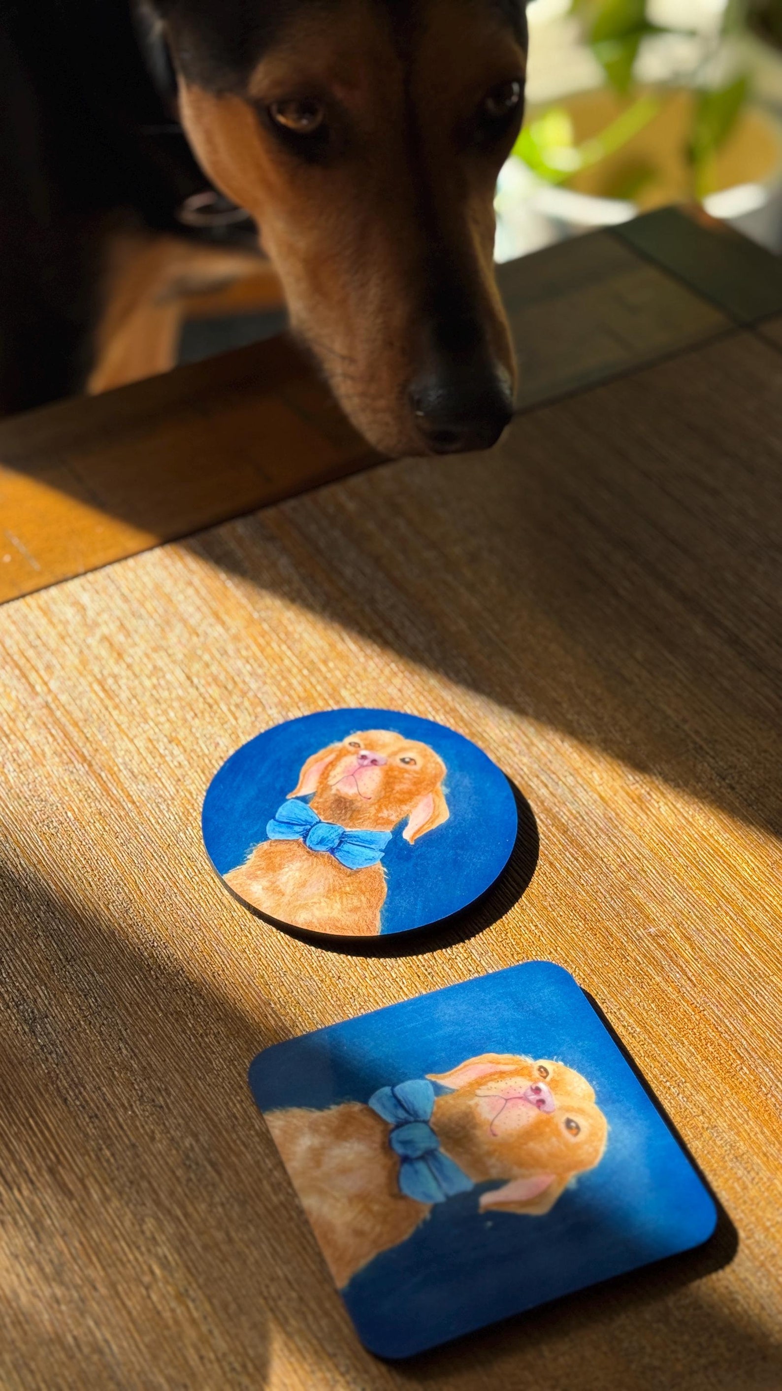 Sir Barks-a-lot MDF Coaster, Adorable and Durable Coaster for Dog ...