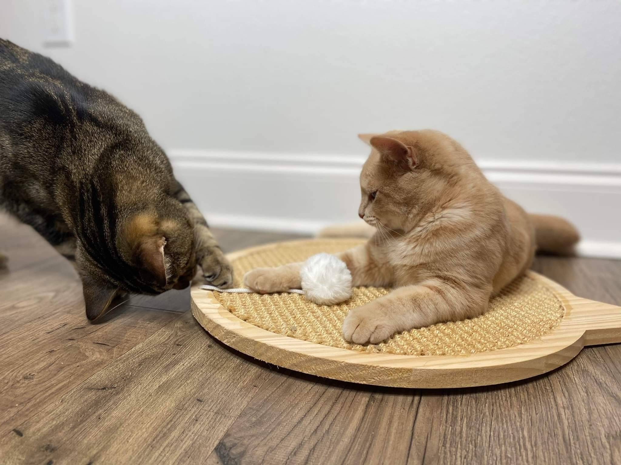 Handmade Wooden Cat Scratch Pad aka the papa Pad - Etsy