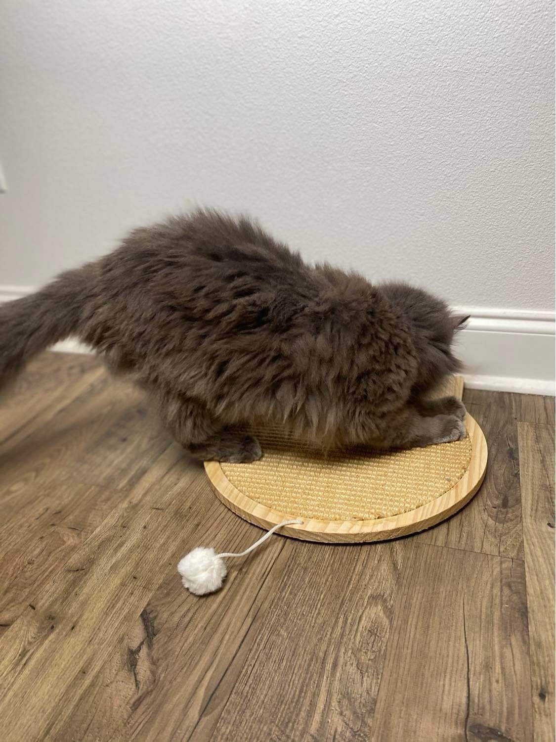 Handmade Wooden Cat Scratch Pad aka the papa Pad - Etsy