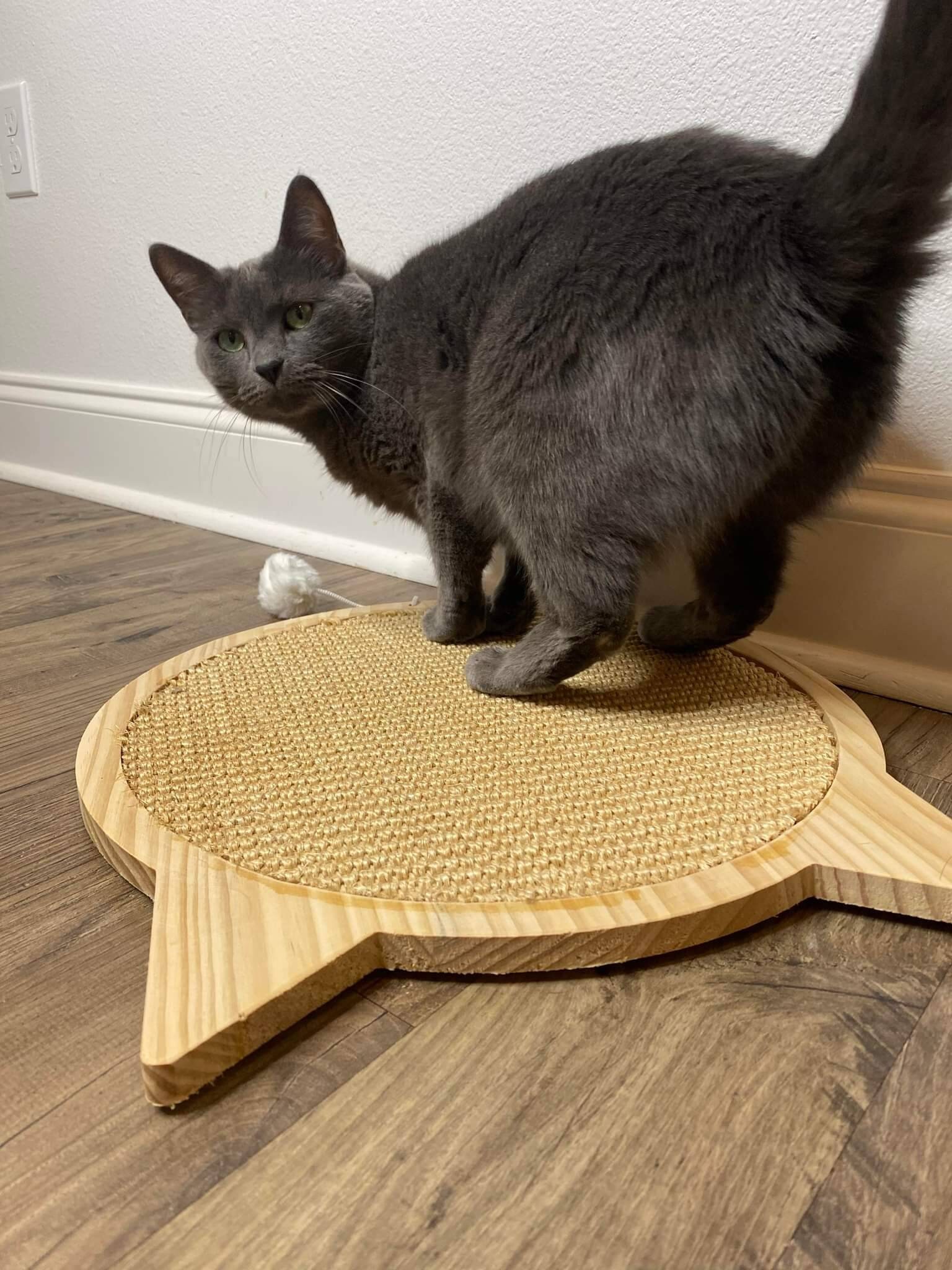 Handmade Wooden Cat Scratch Pad aka the papa Pad - Etsy