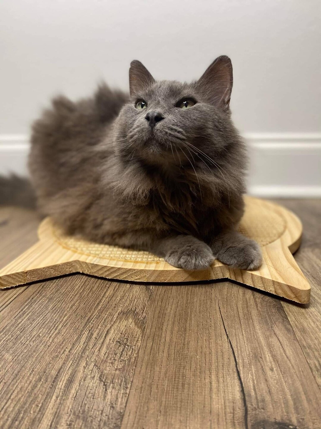 Handmade Wooden Cat Scratch Pad (aka the "papa" Pad) - Etsy