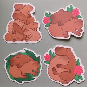 Capybara Cuddles Sticker Bundle - Glossy Vinyls and Sticker Sheet - Etsy