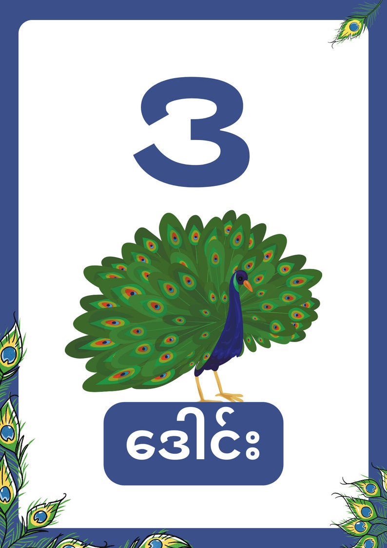 Burmese Letters Digital Flashcards - Etsy