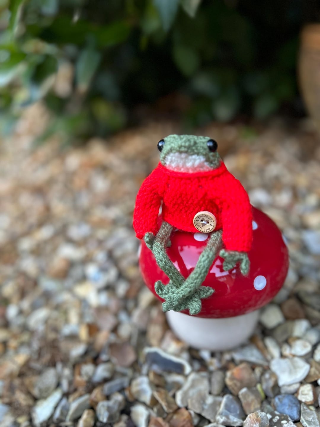 Knitted Frog Handmade Wearing a Hand Knitted Red Sweater Jumper ...