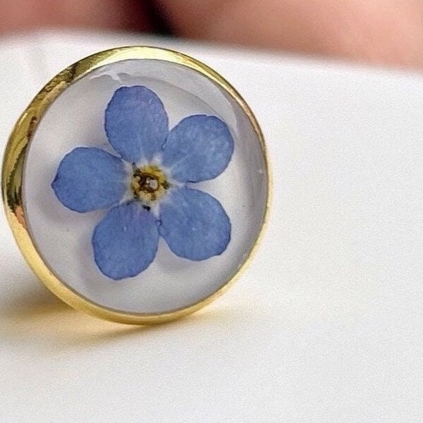 Forget Me Not - Etsy