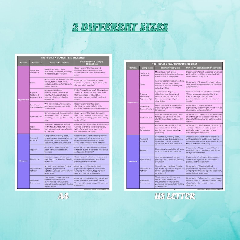 Mental Status Exam Reference Guide: MSE Cheat Sheet and Templates With ...