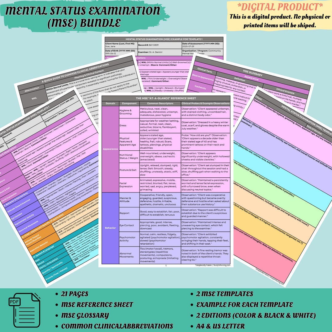 Mental Status Exam Reference Guide: MSE Cheat Sheet and Templates With ...