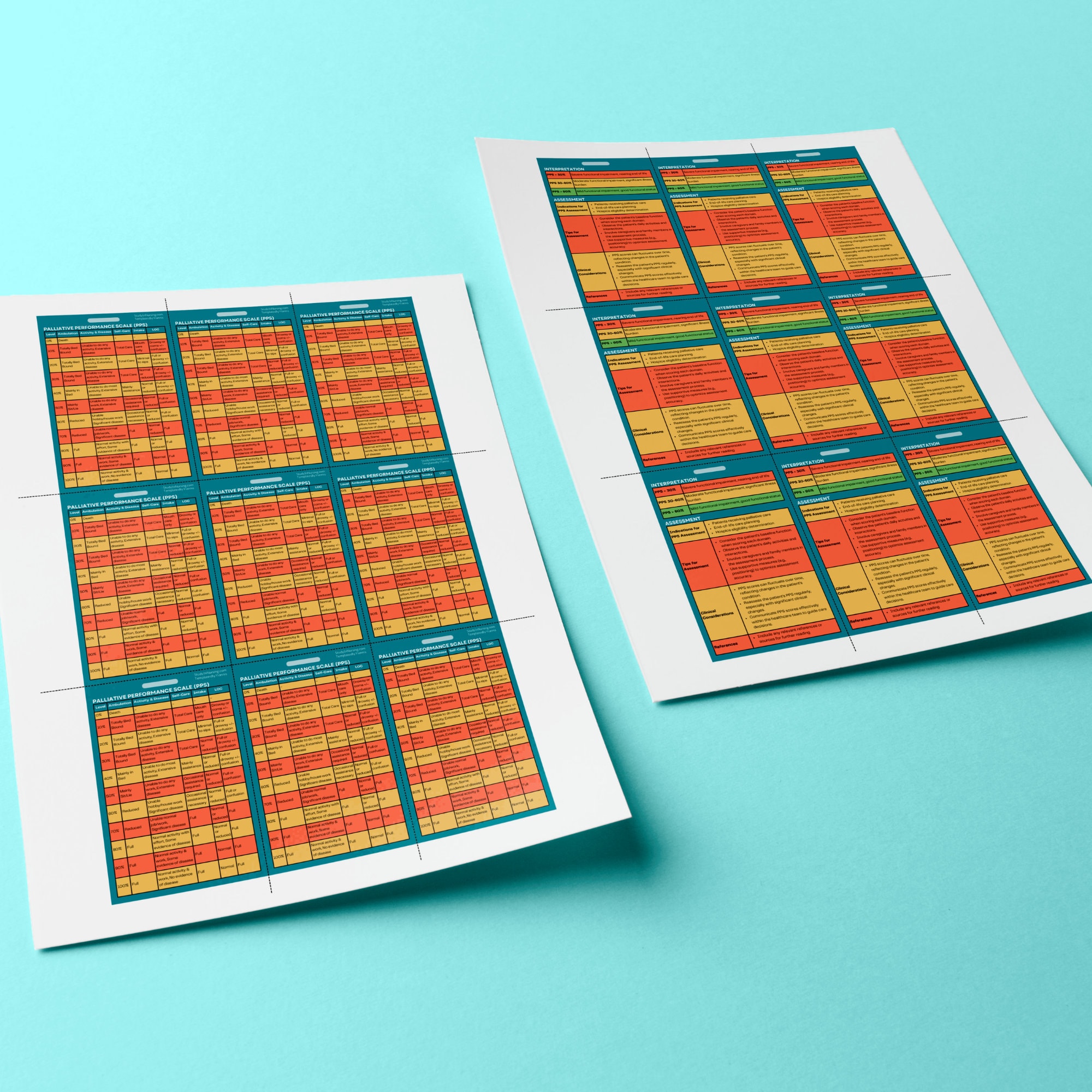 Palliative Performance Scale Reference Card PPS Nursing Badge Buddy ...