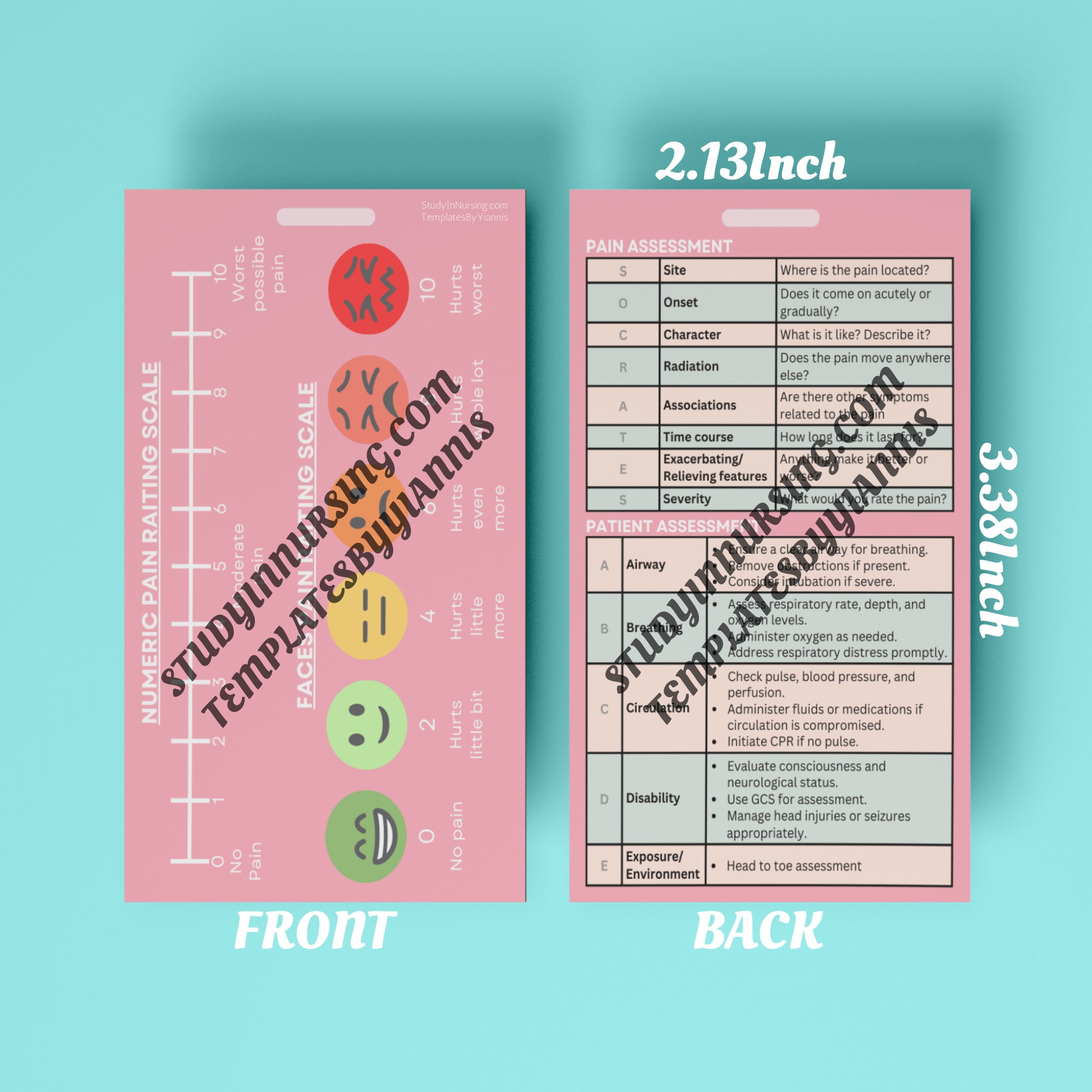 Pain & Patient Assessment Reference Badge Card Nursing Pain Scale Tool ...