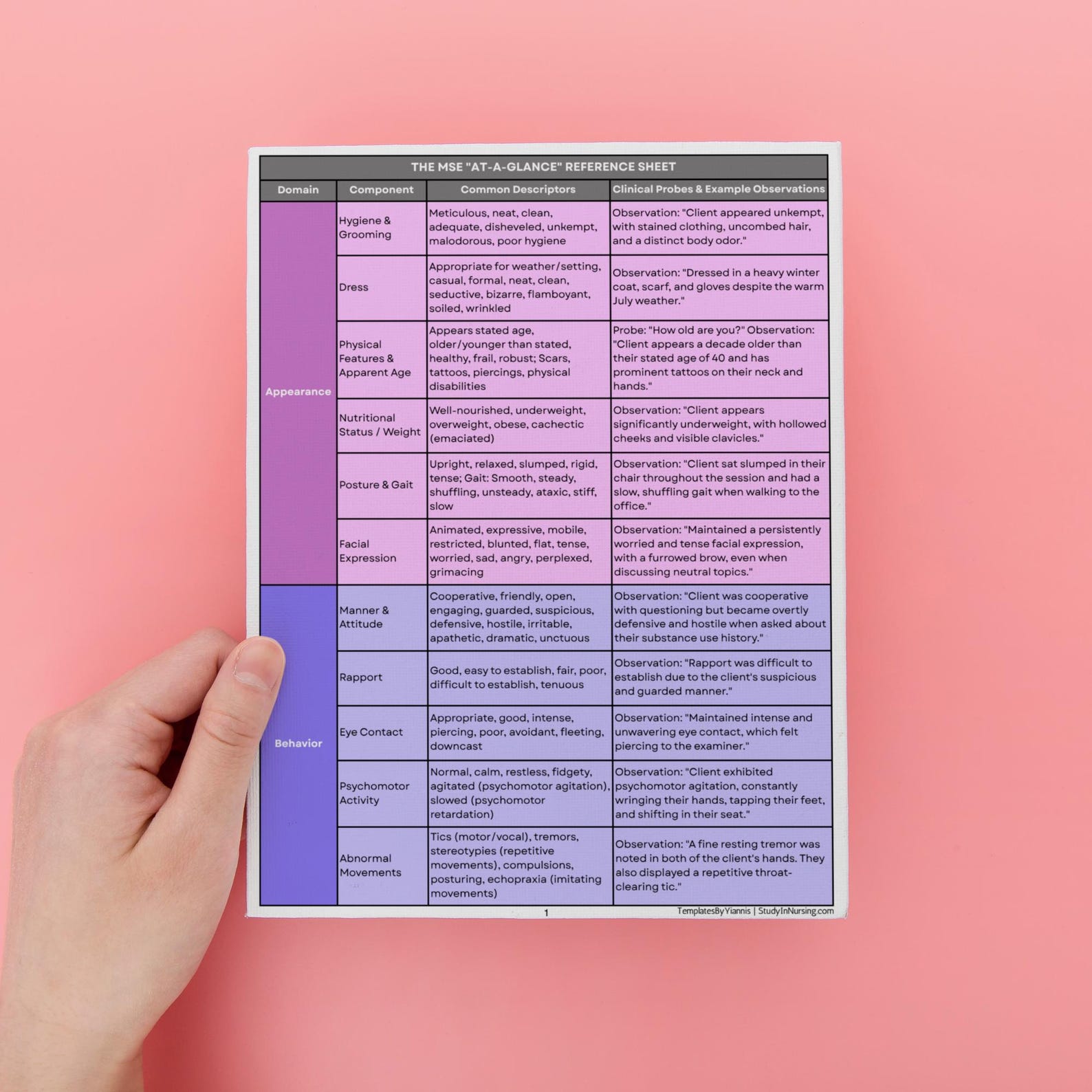 Mental Status Exam Reference Guide: MSE Cheat Sheet and Templates With ...