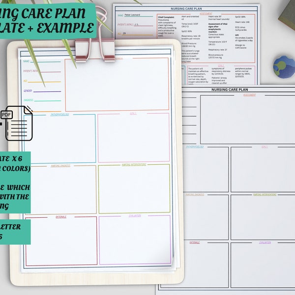 Care Plan Template - Etsy