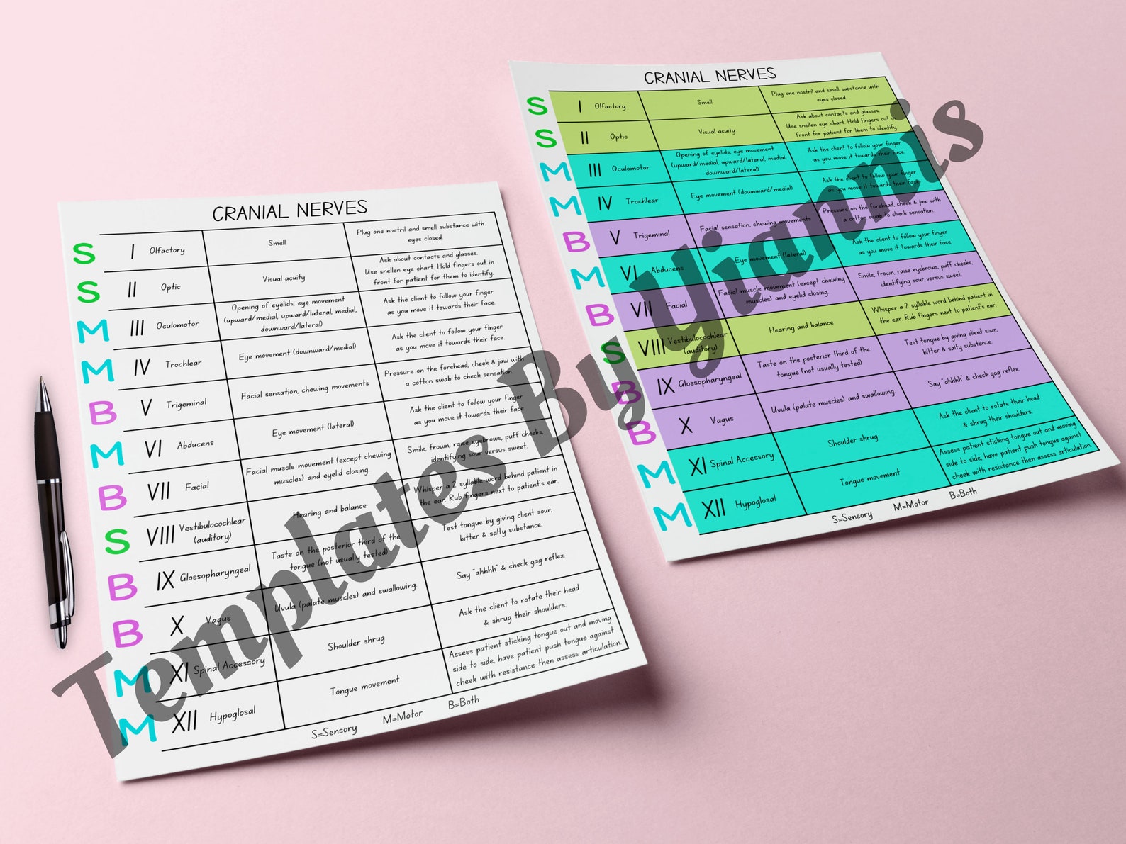 Cranial Nerves Cheat Sheet Anatomy Physiology Health Assessment Nursing ...