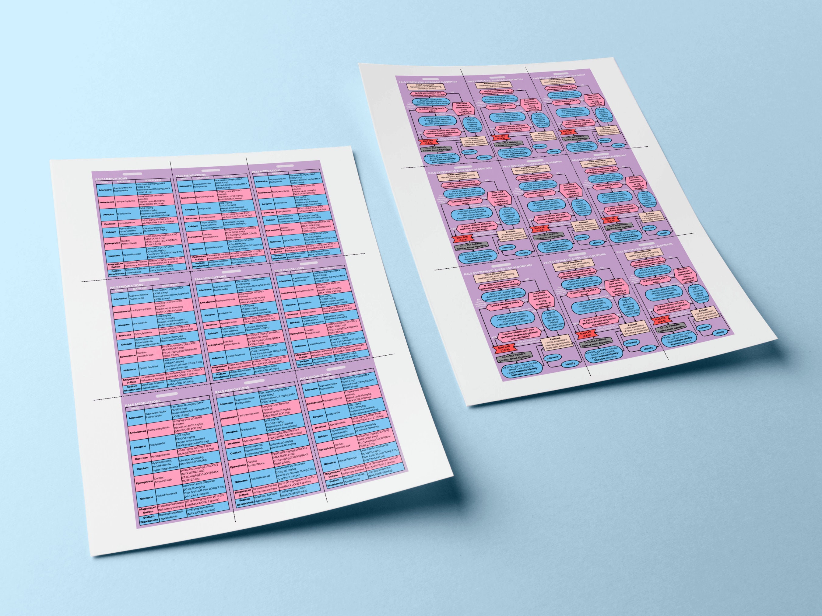 PALS Quick Reference Budge Buddy | PALS Medications & Approach ...