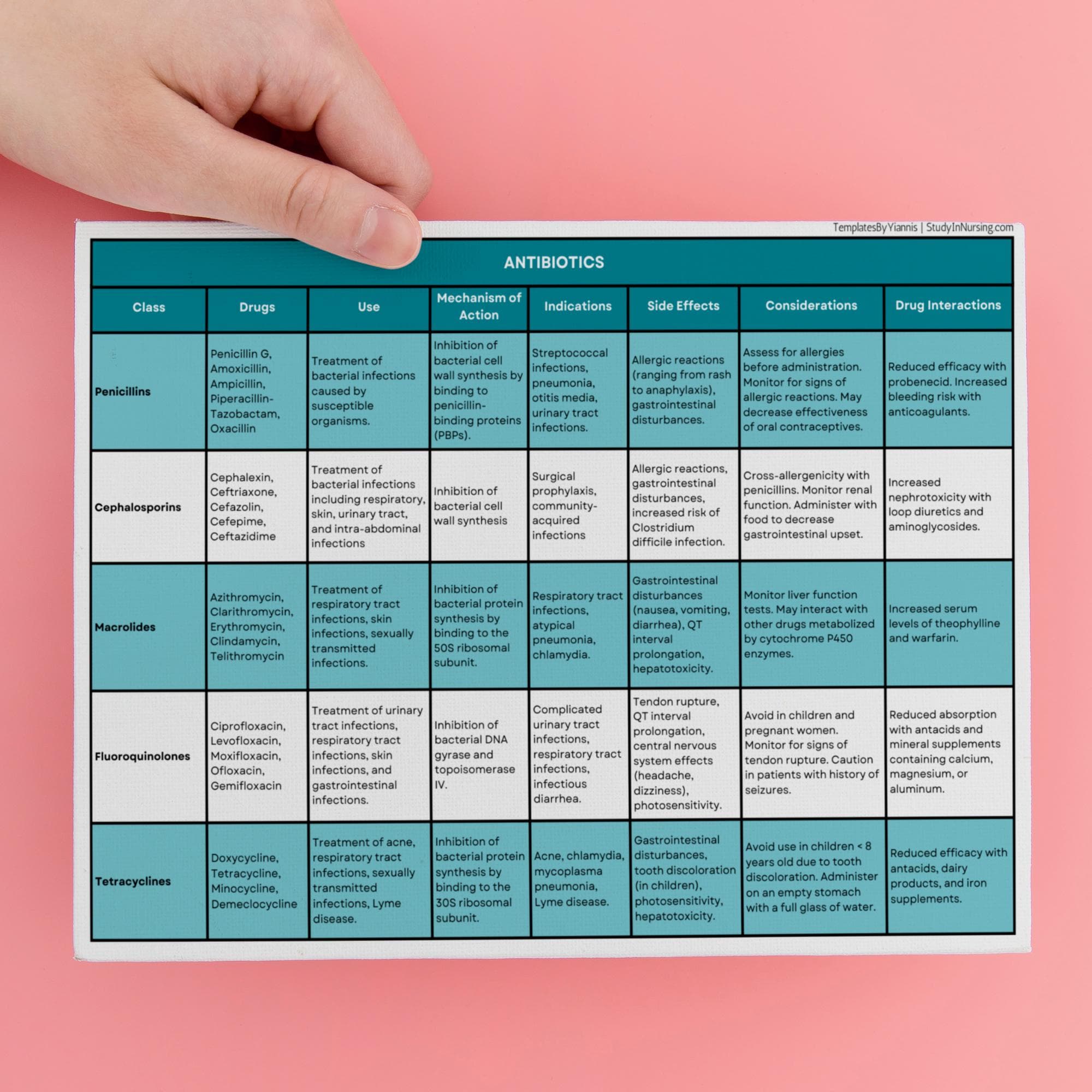 Pharmacology Cheat Sheet Bundle Notes | Printable Nursing Student ...