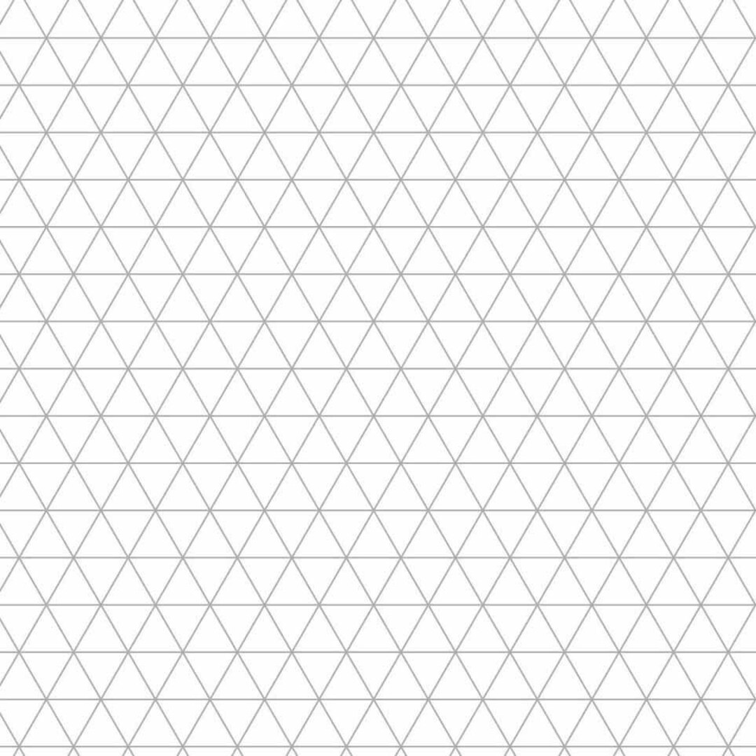 GRID / GRAPH PAPER A0, A1, A21 Size Isometric Hexagon 5mm Triangles ...