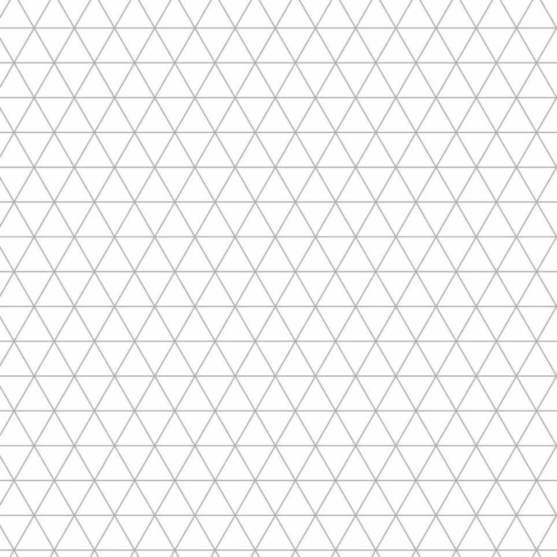 GRID / GRAPH PAPER A0, A1, A21 Size Isometric Hexagon 5mm Triangles ...