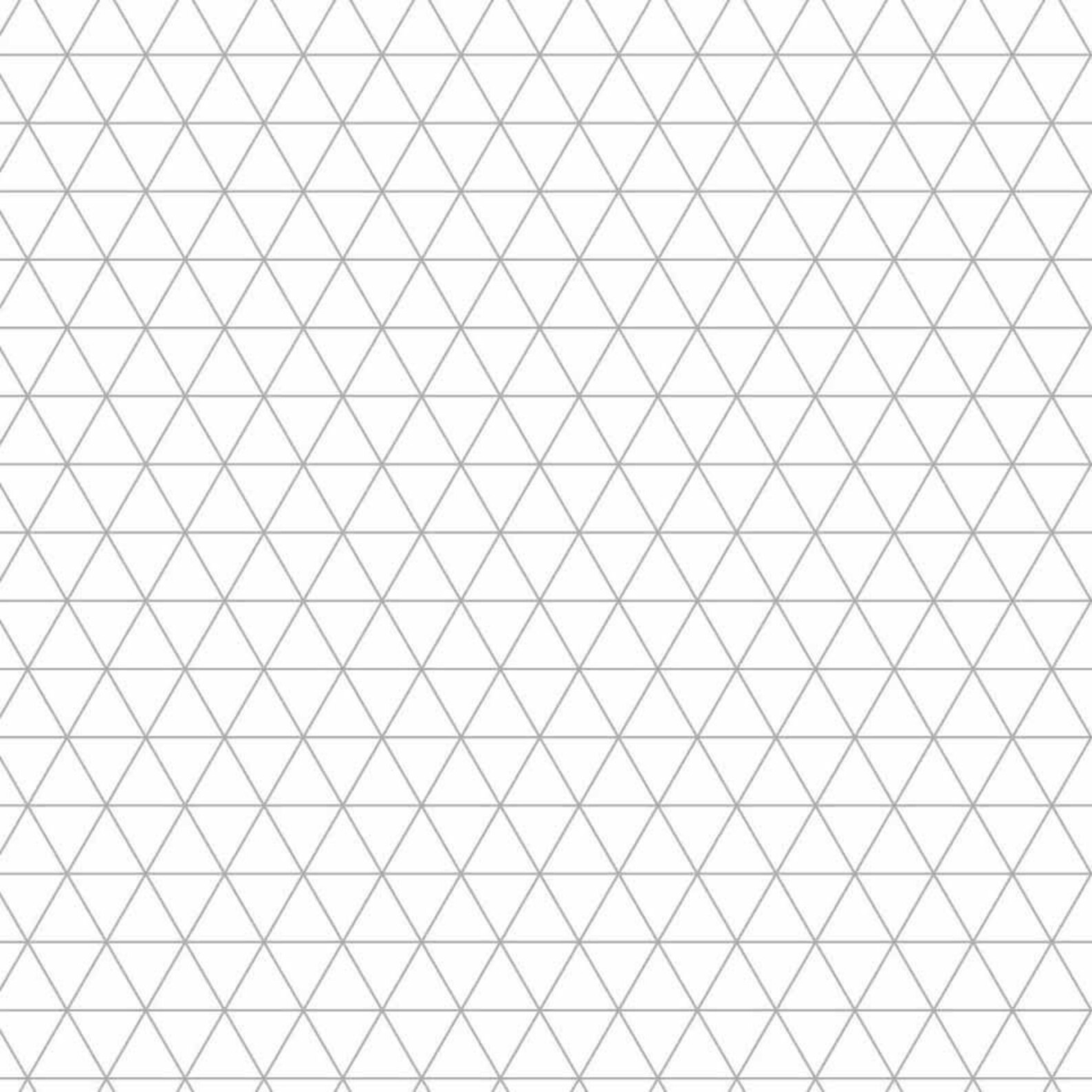 GRID / GRAPH PAPER A0, A1, A21 Size Isometric Hexagon 5mm Triangles ...