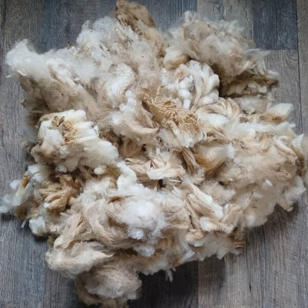 Raw Wool Fleece - Etsy