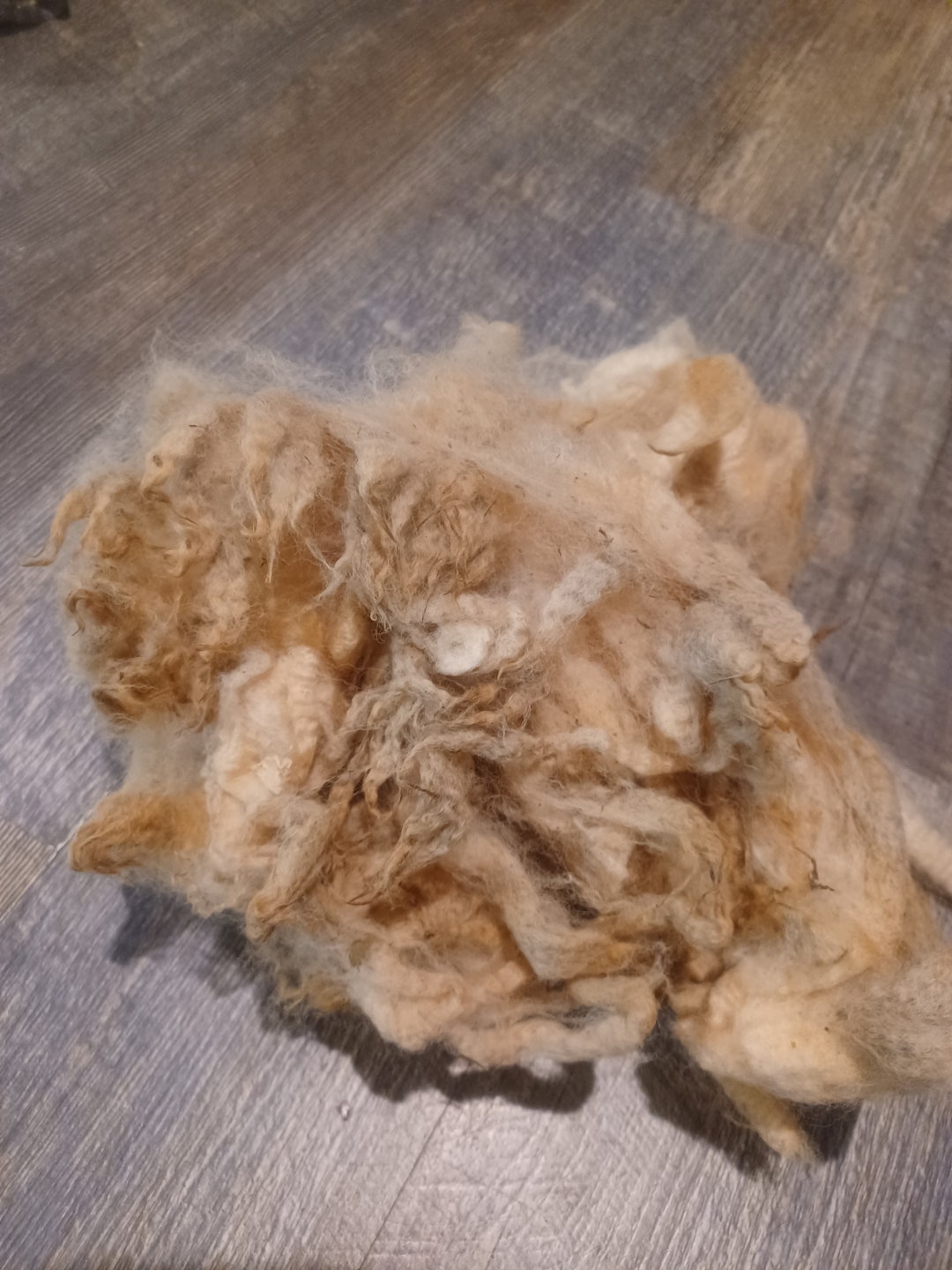 Polypay Mix Wool Raw Organic - Etsy