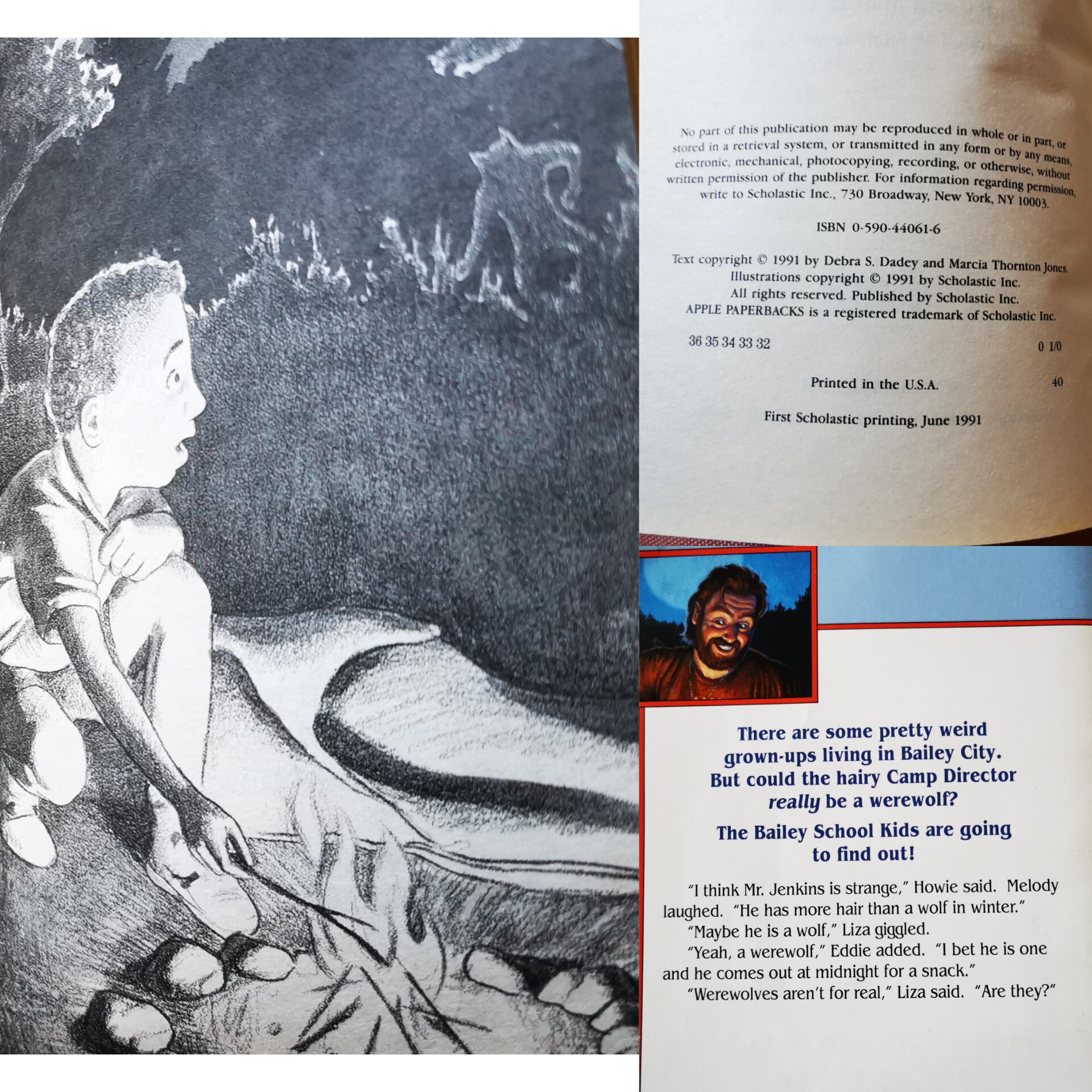 90's the Adventures of the Bailey School Kids Chapter Books - Etsy