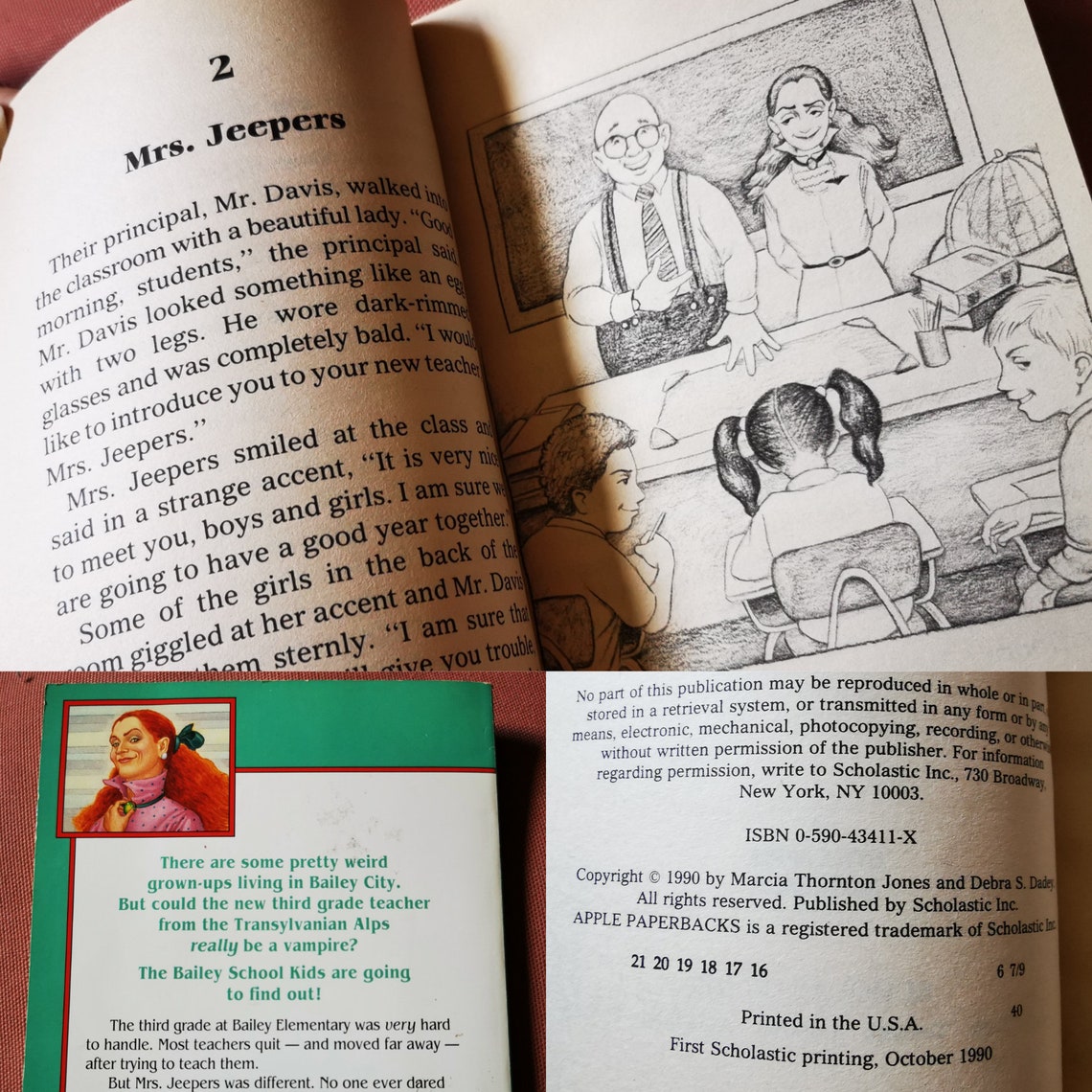 90's the Adventures of the Bailey School Kids Chapter Books - Etsy