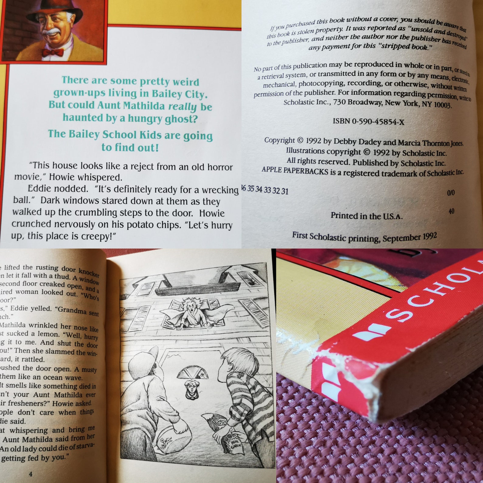 90's the Adventures of "the Bailey School Kids" Chapter Books - Etsy
