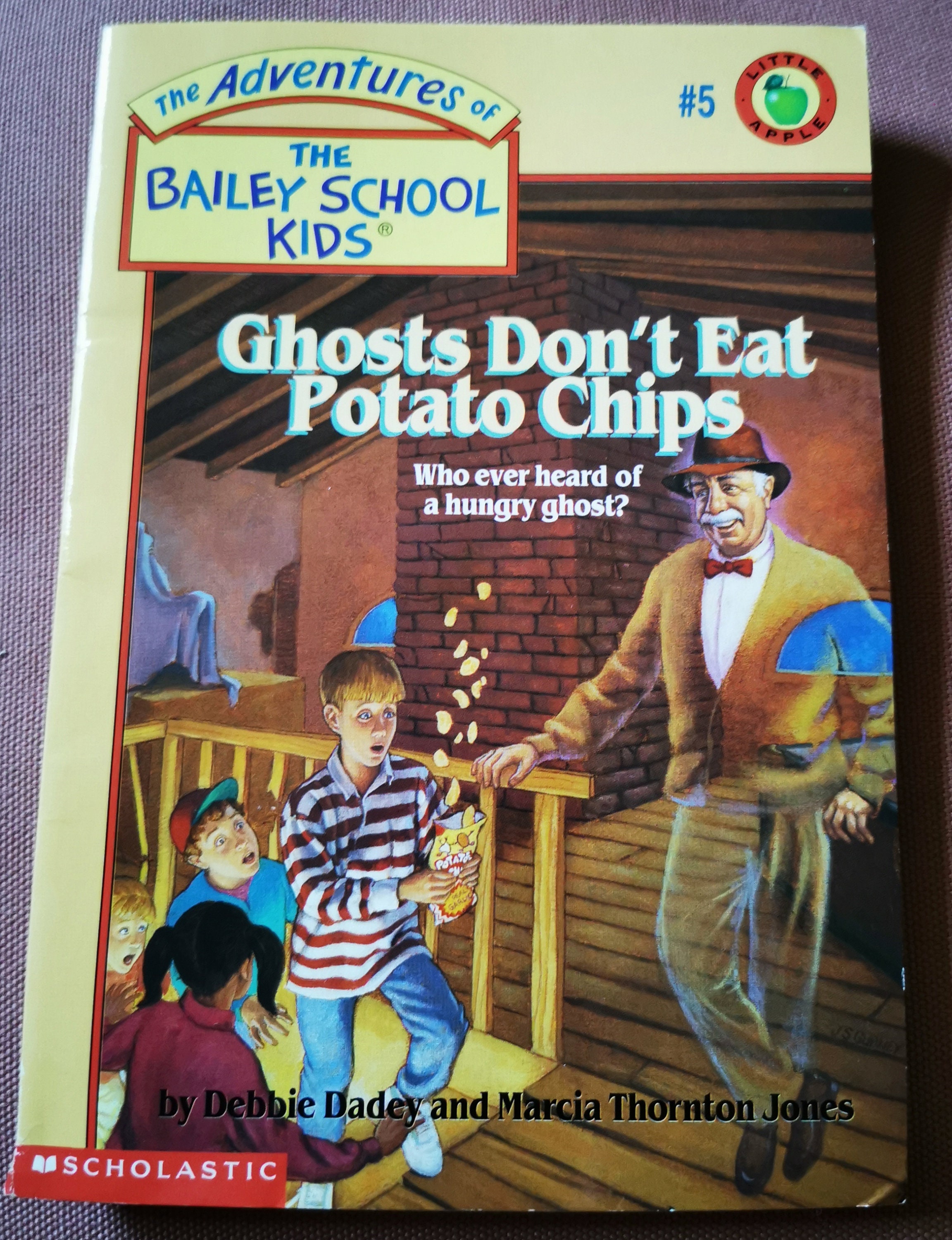90's the Adventures of "the Bailey School Kids" Chapter Books - Etsy