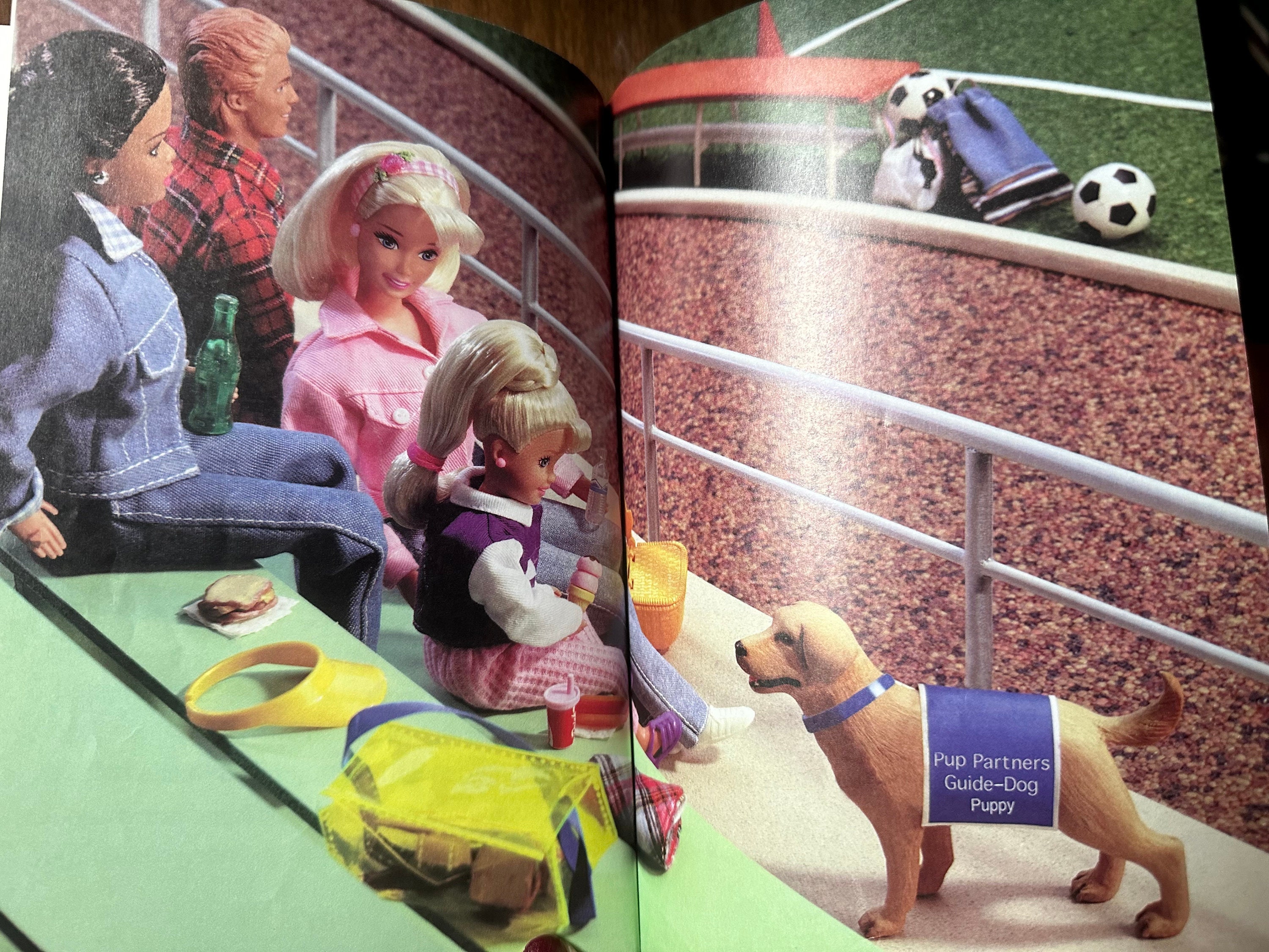 90’s Barbie Girl’s Best Friend Chapter Book - Etsy