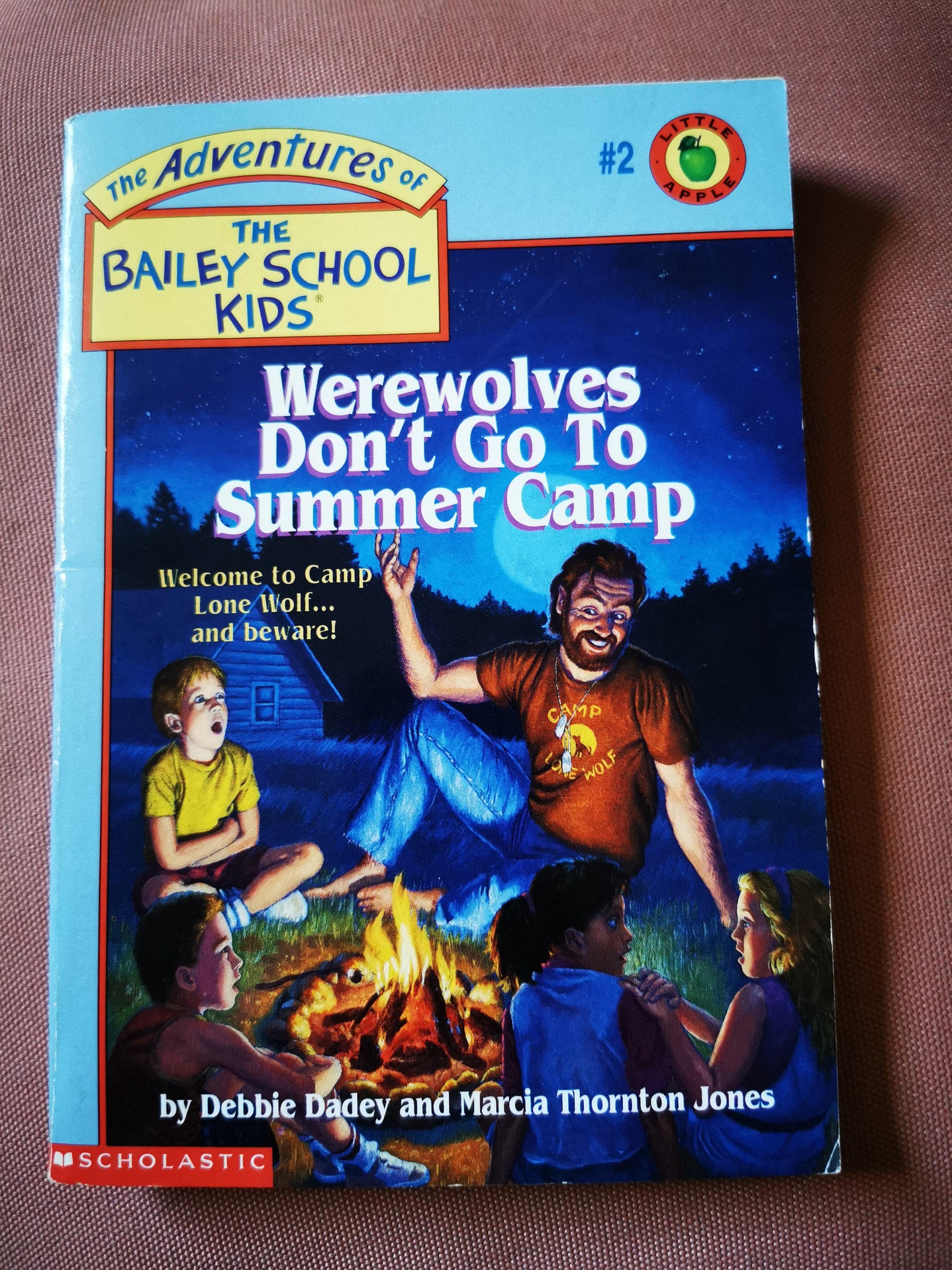 90's the Adventures of the Bailey School Kids Chapter Books - Etsy