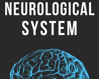 Nursing School Notes, Medsurg Neurology Basics, This Cheat Sheet Gives ...