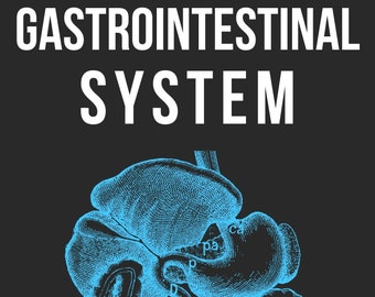The Digestive System Study Guide GI Tract Gastrointestinal Nursing ...