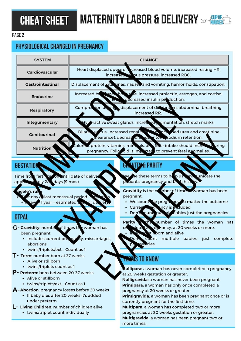Nursing Maternity Labor and Delivery Cheat Sheet/study Guide - Etsy