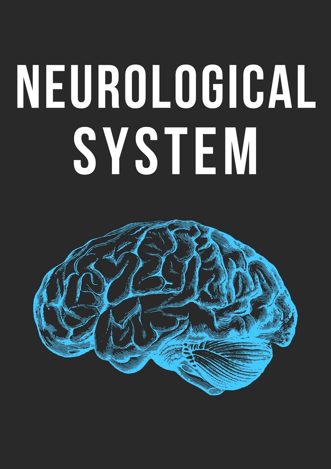 Nursing Neurology Cheat Sheet - Etsy